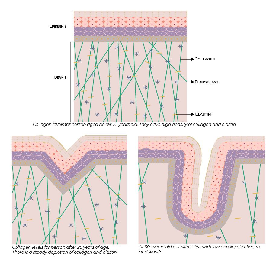 Collagen Booster Treatments London & Bucks | Collagen Boost Benefits